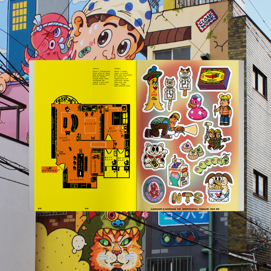 NTS Magazine - Digital + Print Subscription – Never Too Small